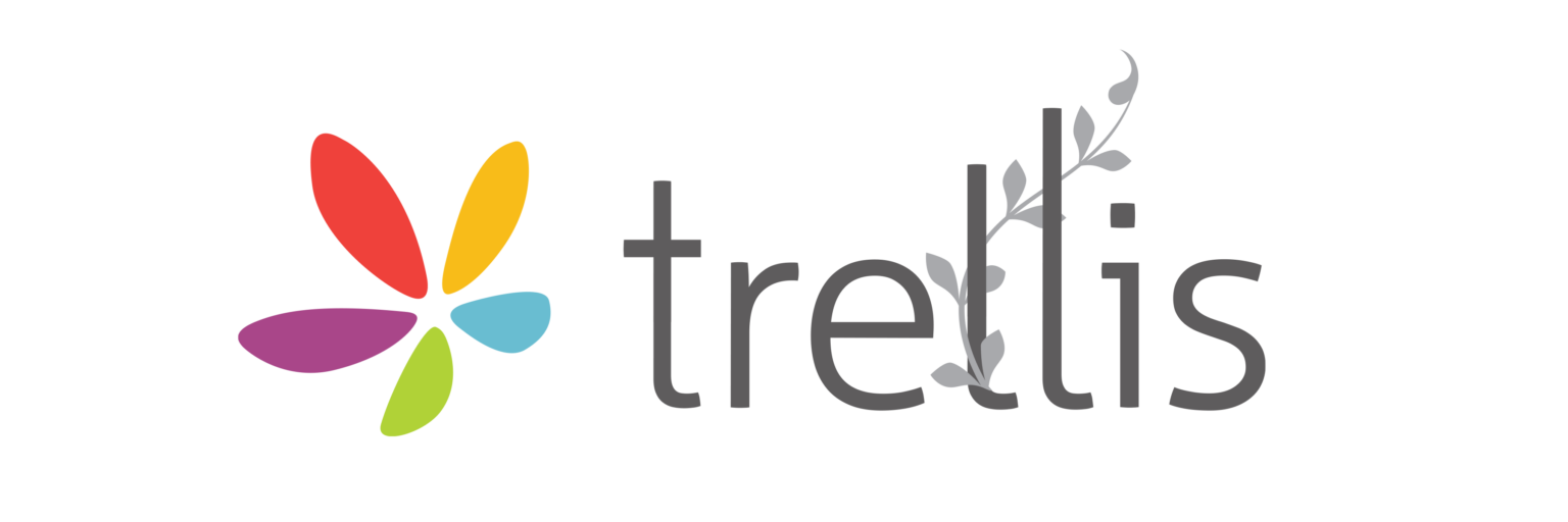 ABA Therapy Maryland: Autism Services & Therapy in MD - Trellis Services